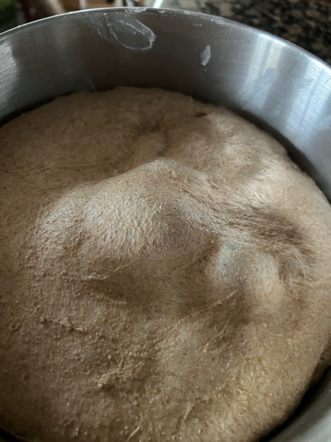 Turkey Red Wheat – Heritage Family Clinic