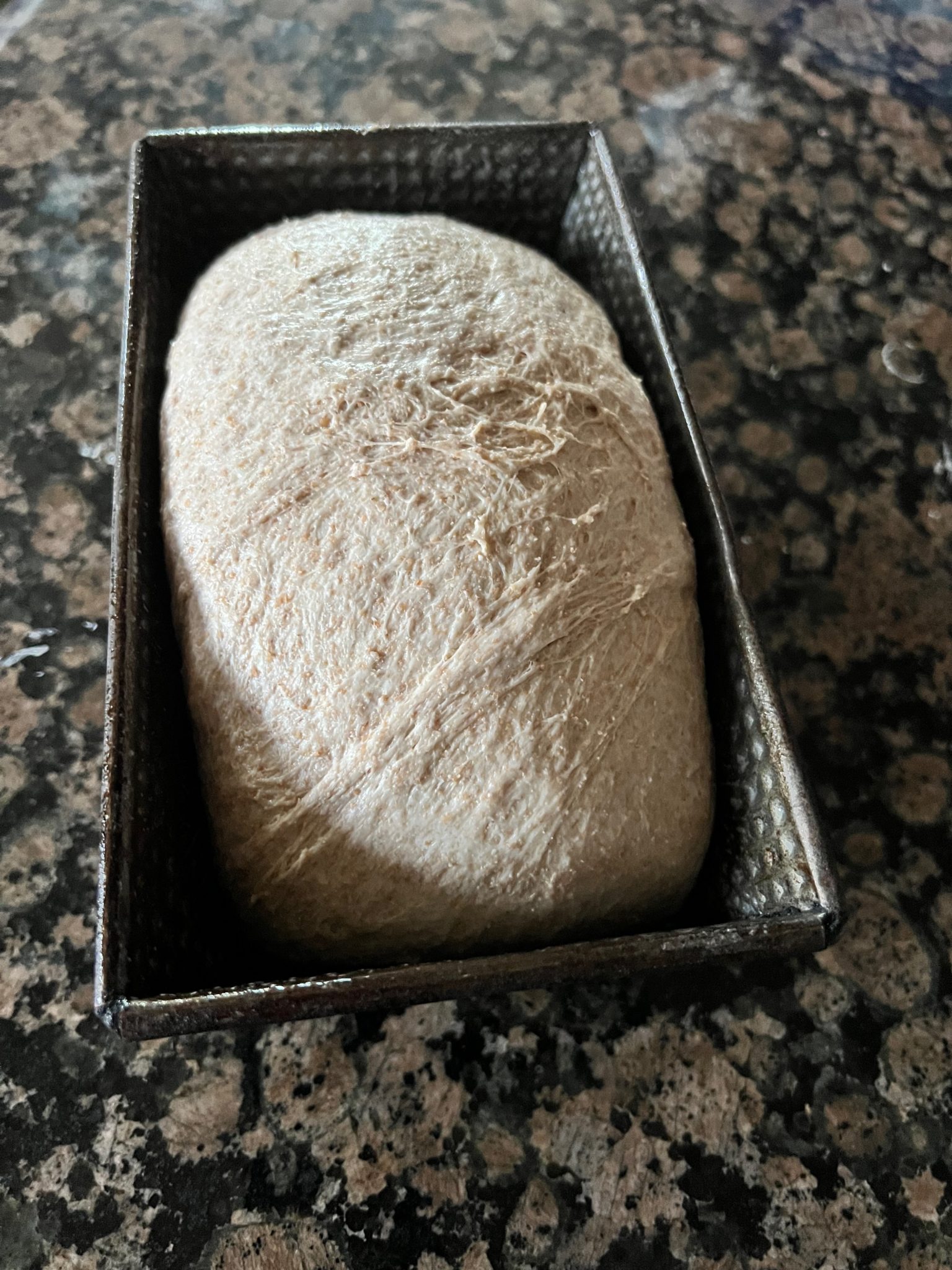 Turkey Red Wheat – Heritage Family Clinic