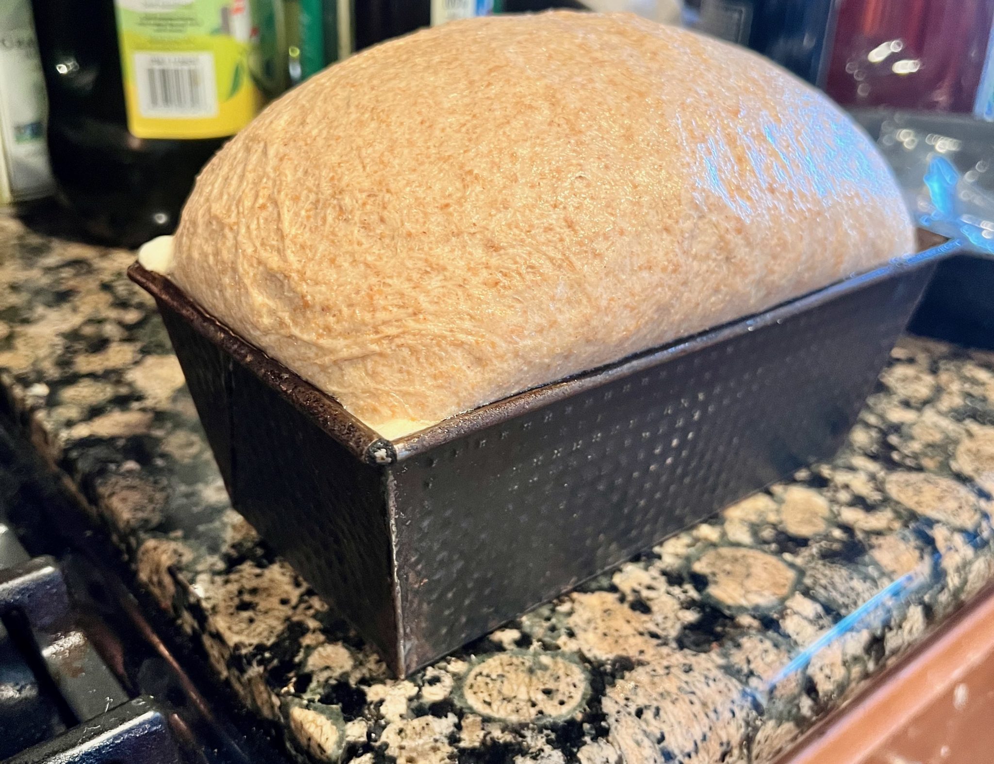 Turkey Red Wheat – Heritage Family Clinic